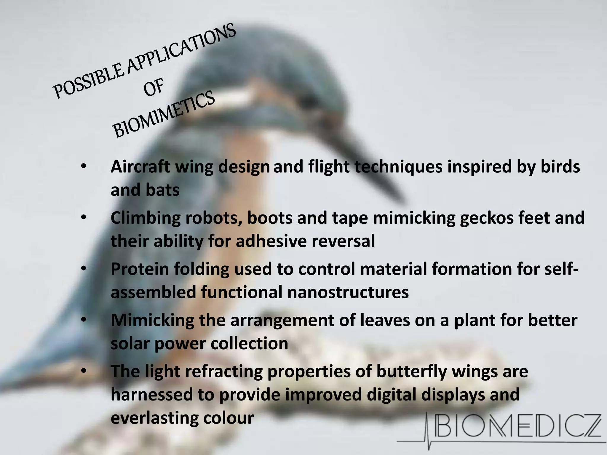 Biomimetics | PPTX