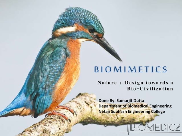 Biomimetics | PPTX