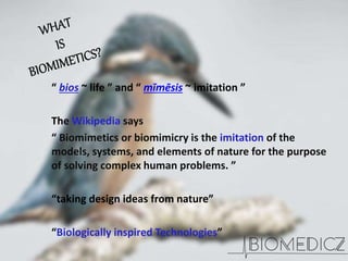 Biomimetics | PPTX