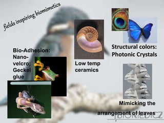 Biomimetics | PPTX