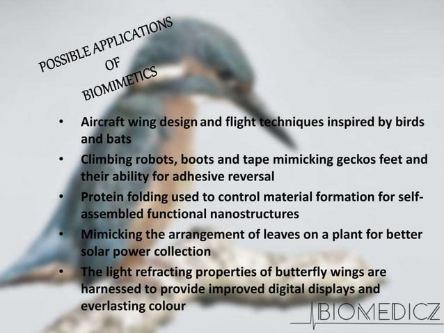 Biomimetics | PPTX