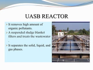 Waste water treatment | PPT