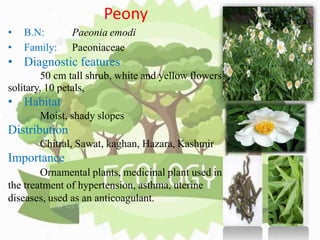 Vegetation of Pakistan | PPTX