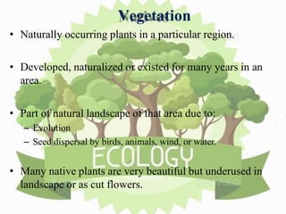 Vegetation of Pakistan | PPTX | Gardening | Home & Garden