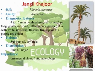 Vegetation of Pakistan | PPTX