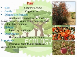 Vegetation of Pakistan | PPTX