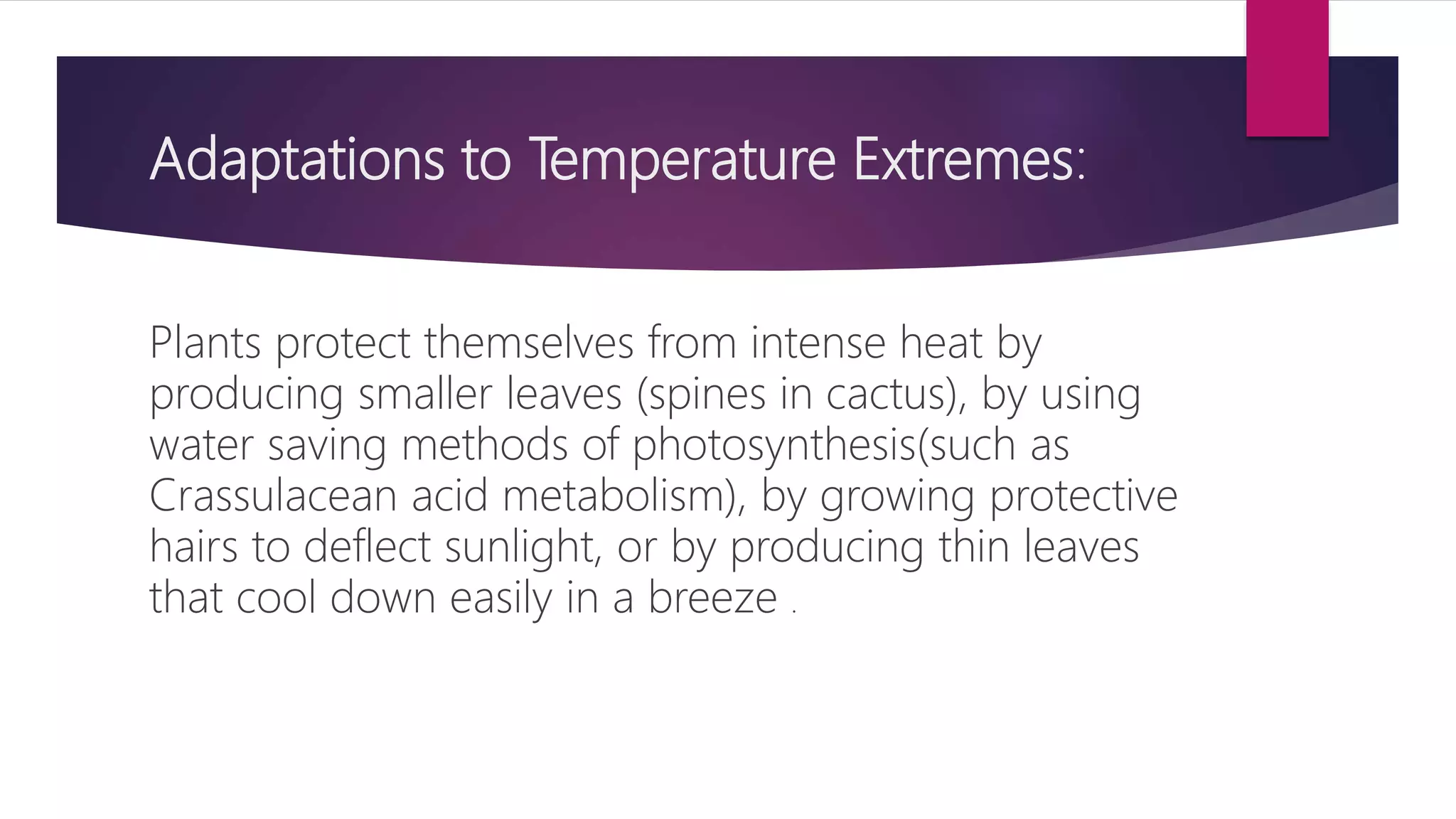 Adaptation to temperature extremes | PPTX