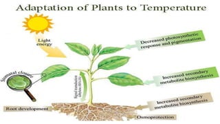 Adaptation to temperature extremes | PPTX