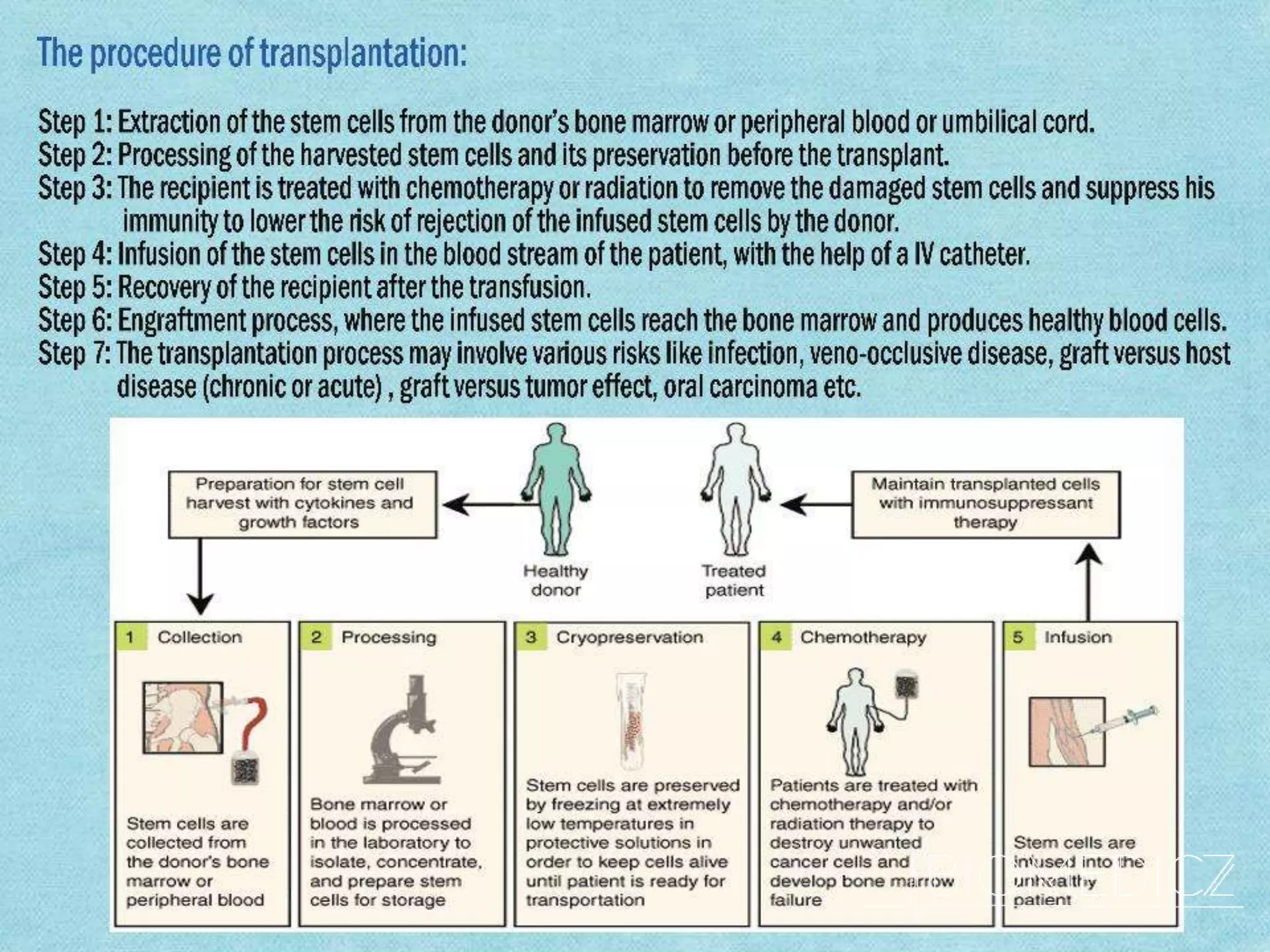Hematopoietic Stem Cells Transplantation | PPTX