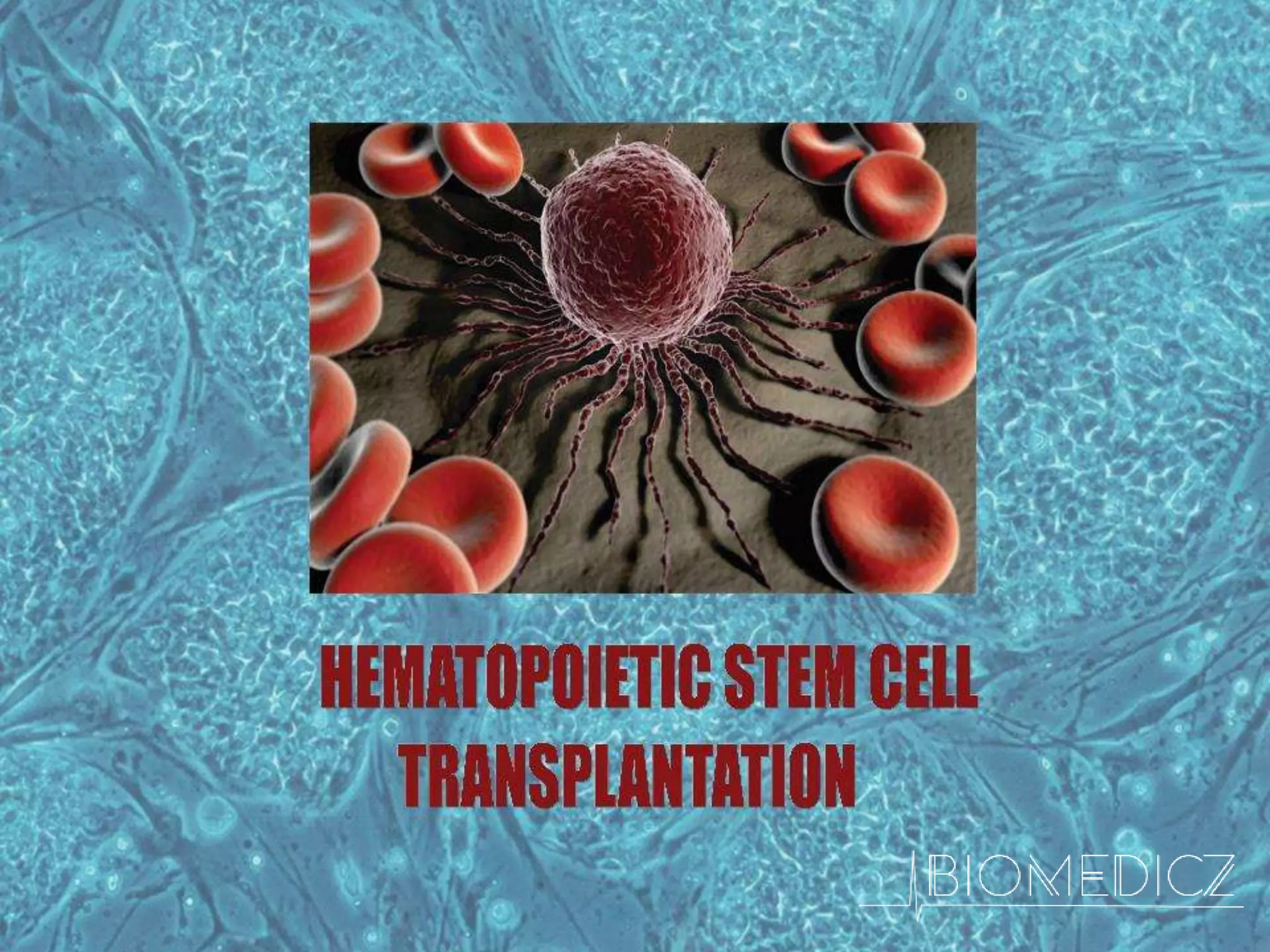 Hematopoietic Stem Cells Transplantation | PPTX