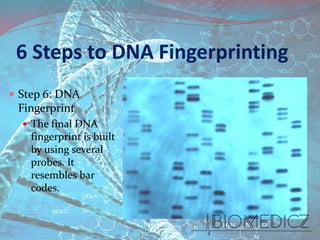 DNA Fingerprinting | PPTX