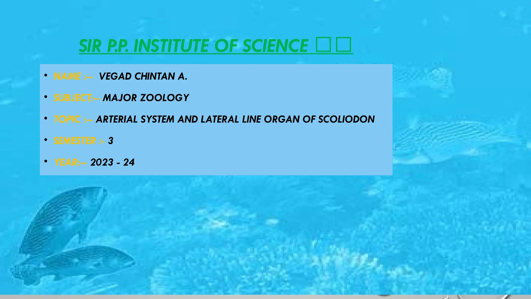 arterial system of scoliodon ppt presentation | PPTX