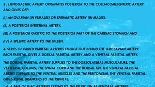 arterial system of scoliodon ppt presentation | PPTX
