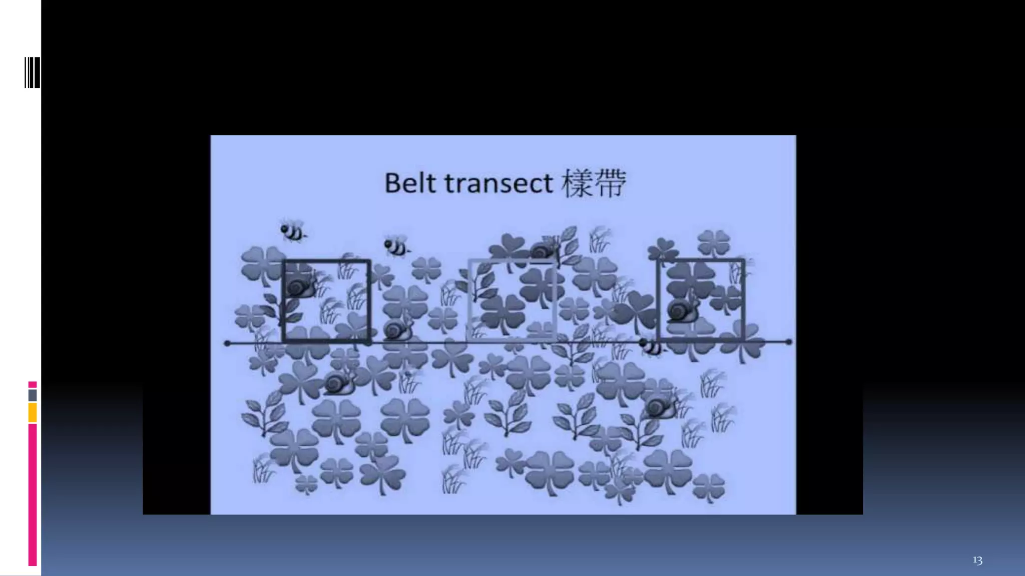 Methods of sampling vegetation.pptx