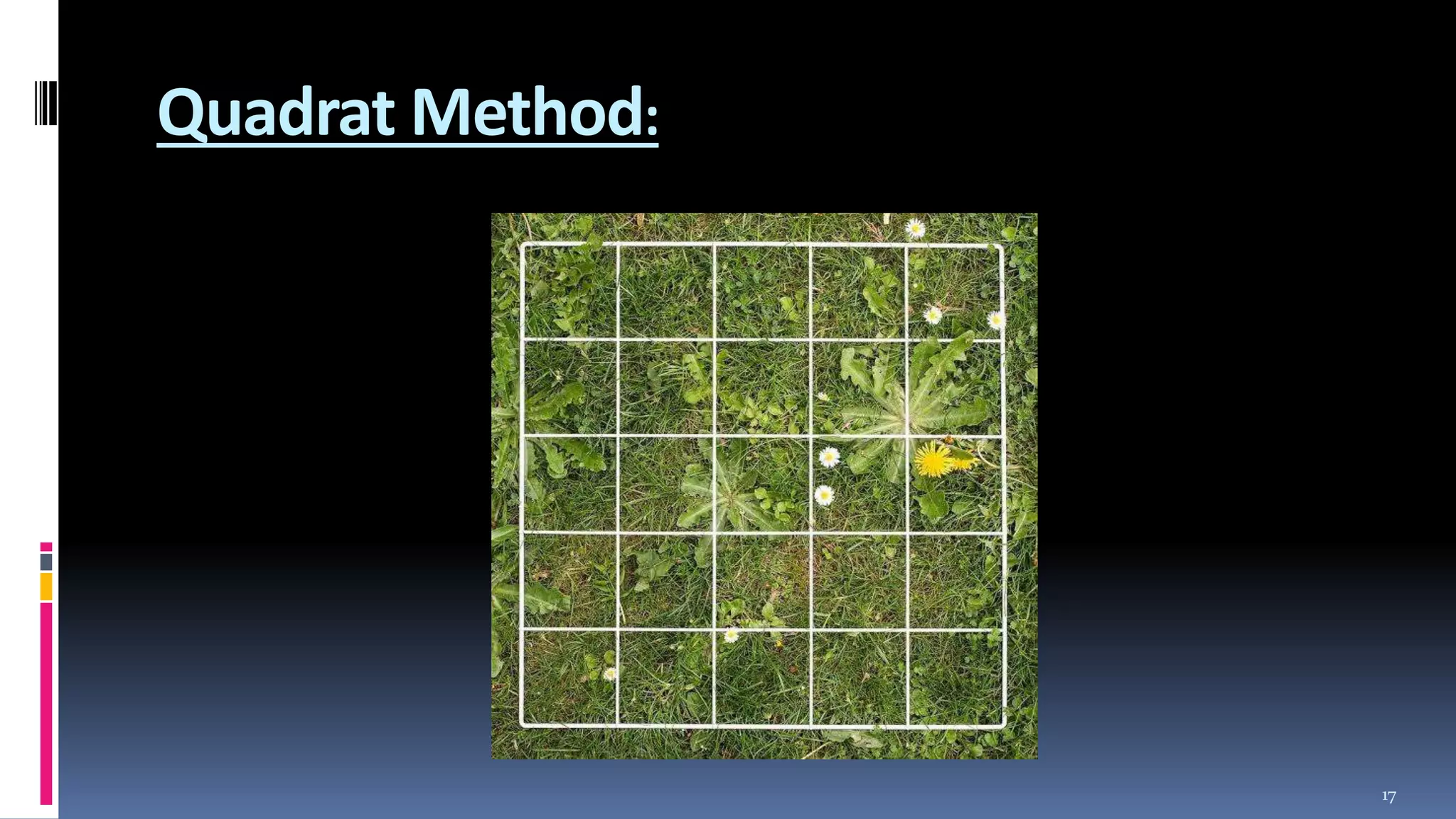 Methods of sampling vegetation.pptx