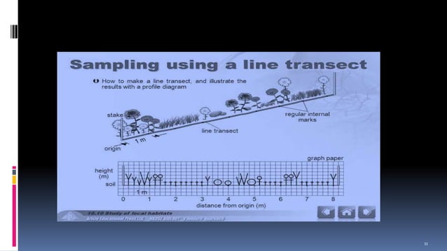 Methods of sampling vegetation.pptx | Gardening | Home & Garden