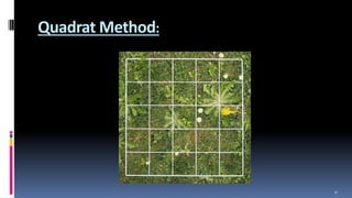 Methods of sampling vegetation.pptx