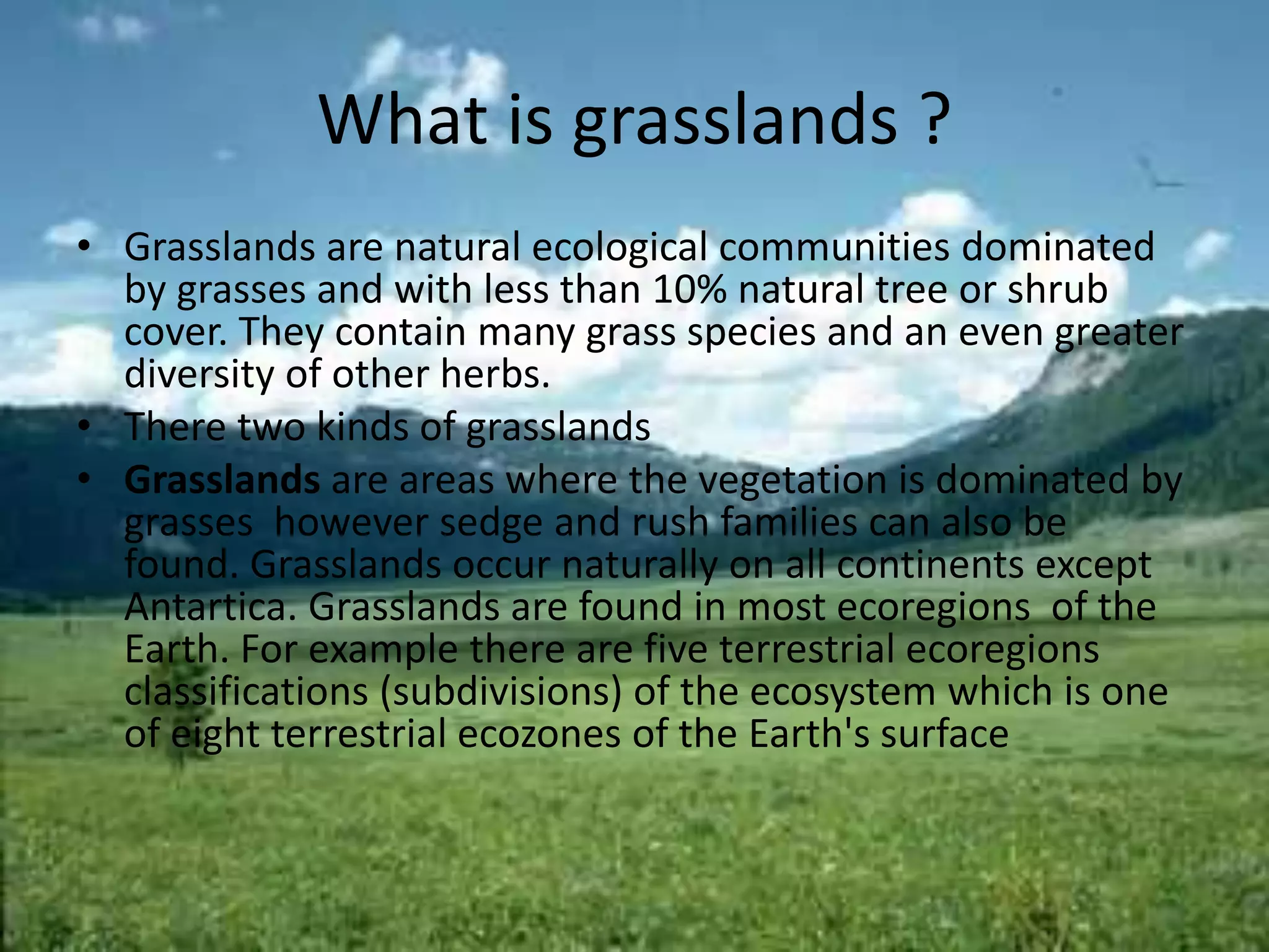 Grassland Region | PPTX