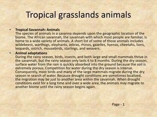 Grassland Region | PPTX