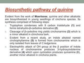 Quinine | PPTX