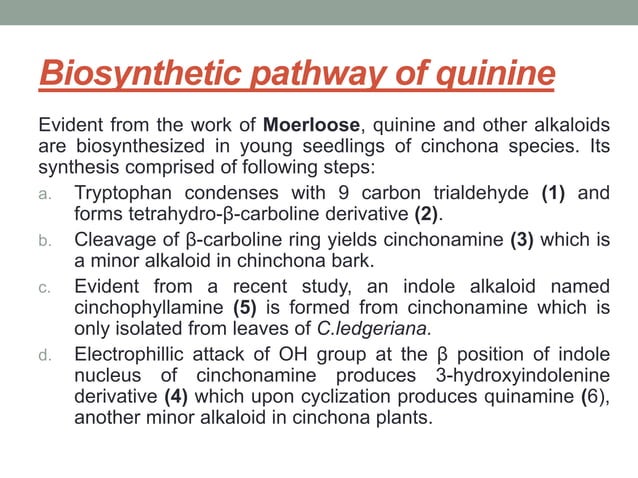 Quinine | PPTX