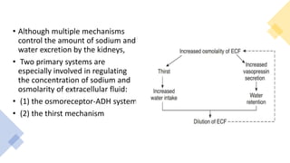REGULATION OF EXTRACELLULAR FLUID OSMOLARITY BY KIDNEY | PPTX
