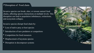Effects of Invasive Plants Species on Local Ecosystem | PPTX