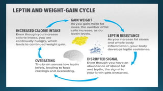 Roll of leptin in controlling obesity ppt | PPT