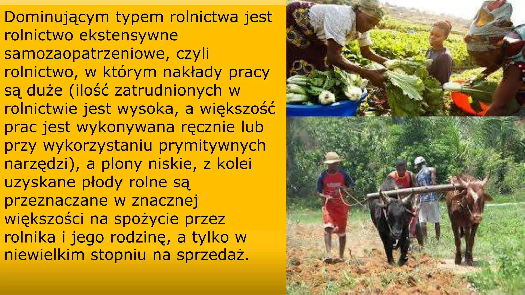 Rolnictwo afryki | PPTX