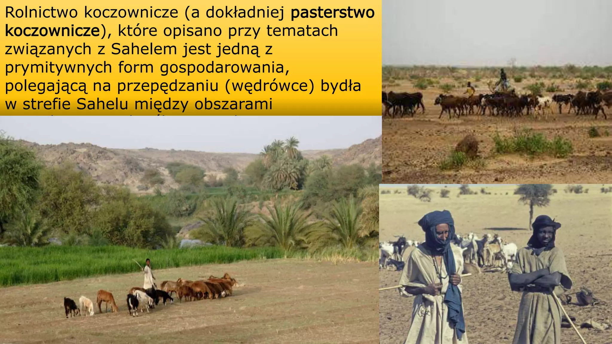 Rolnictwo afryki | PPTX