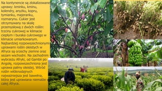 Rolnictwo afryki | PPTX