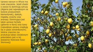 Rolnictwo afryki | PPTX