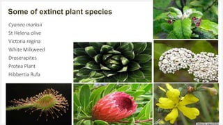 Extinction of plant species | PPTX