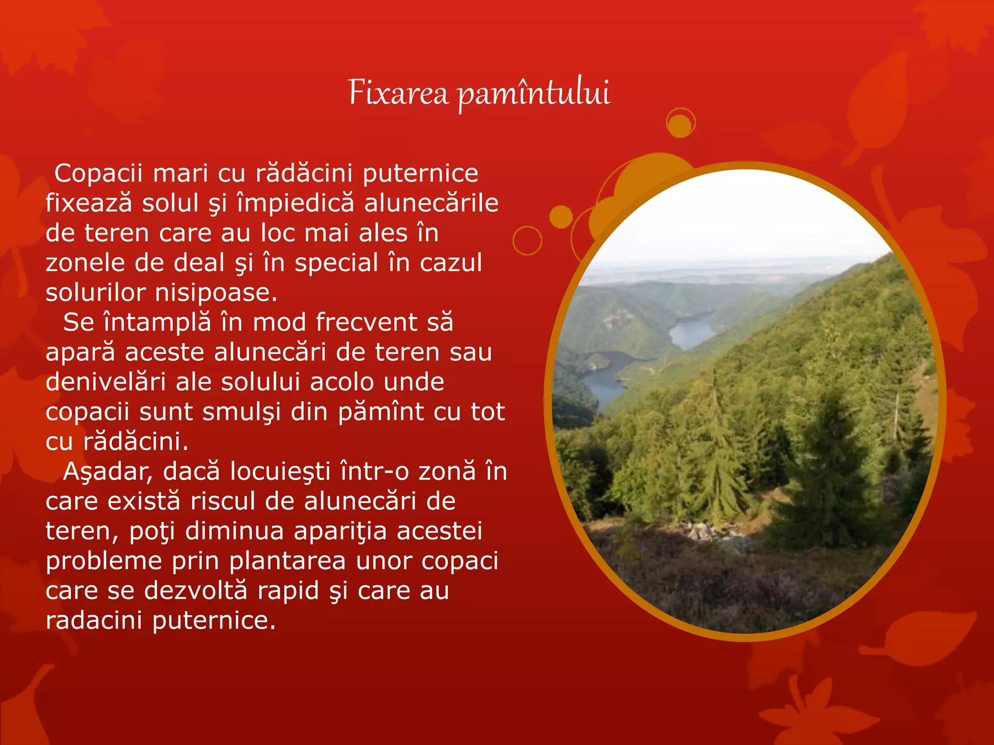 Rolul plantelor in natura | PPTX