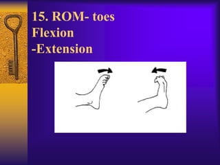 Range of motion exercises | PPTX