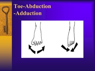 Range of motion exercises | PPTX