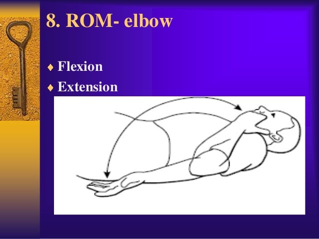 Range Of Motion Of The Elbow Joint A Flexion