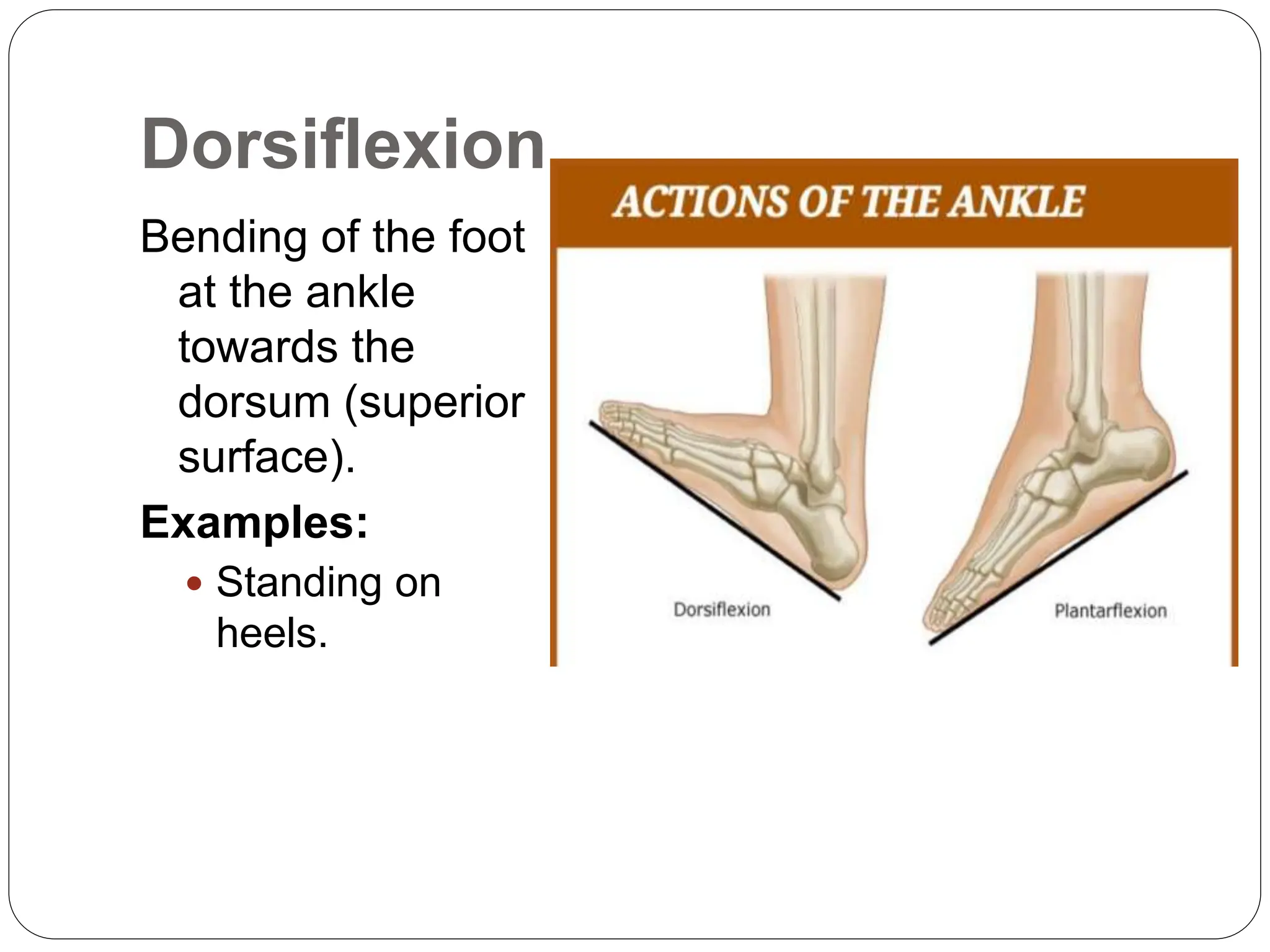 Range of motion exercises | PPTX