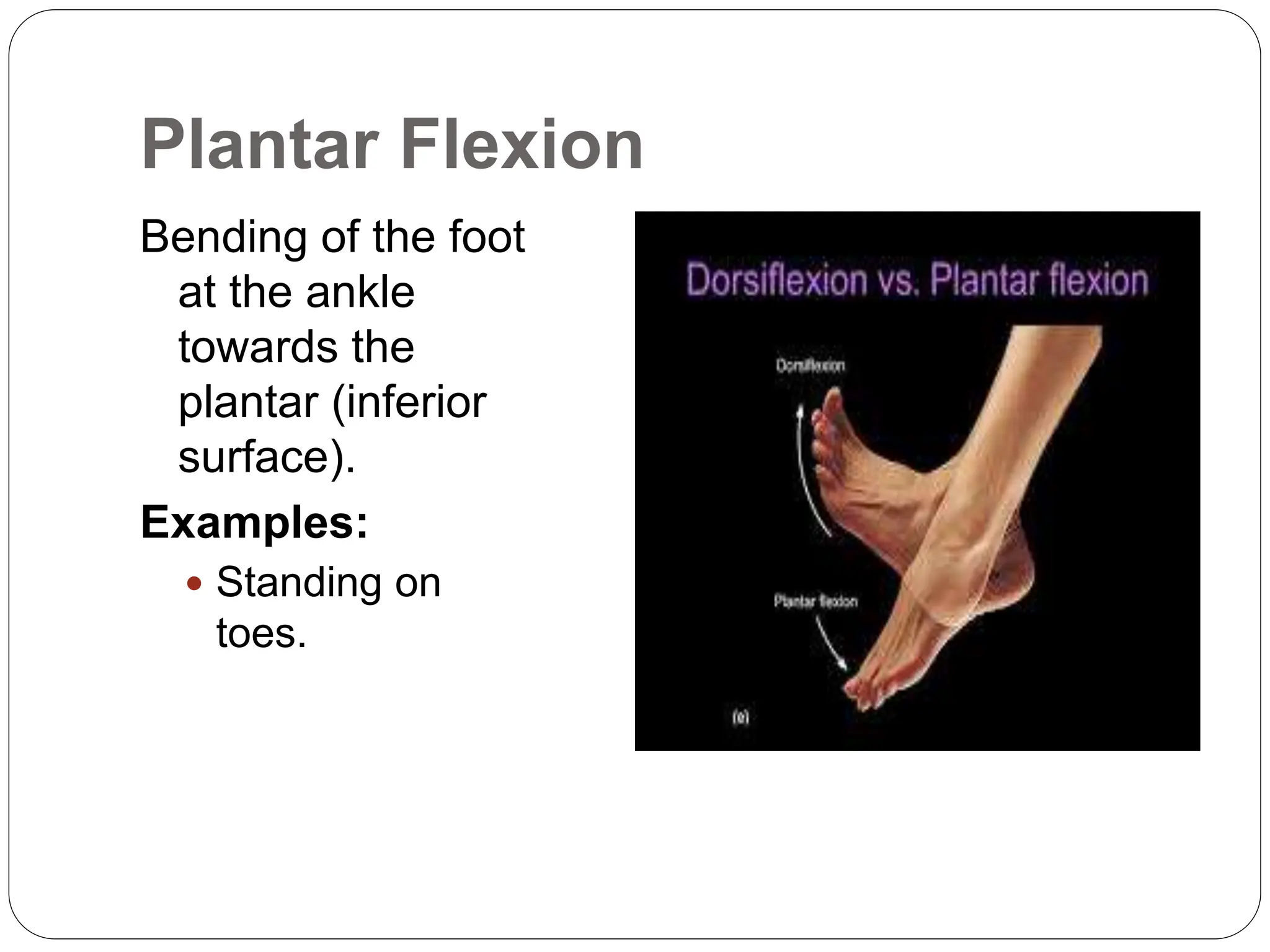 Range of motion exercises | PPTX