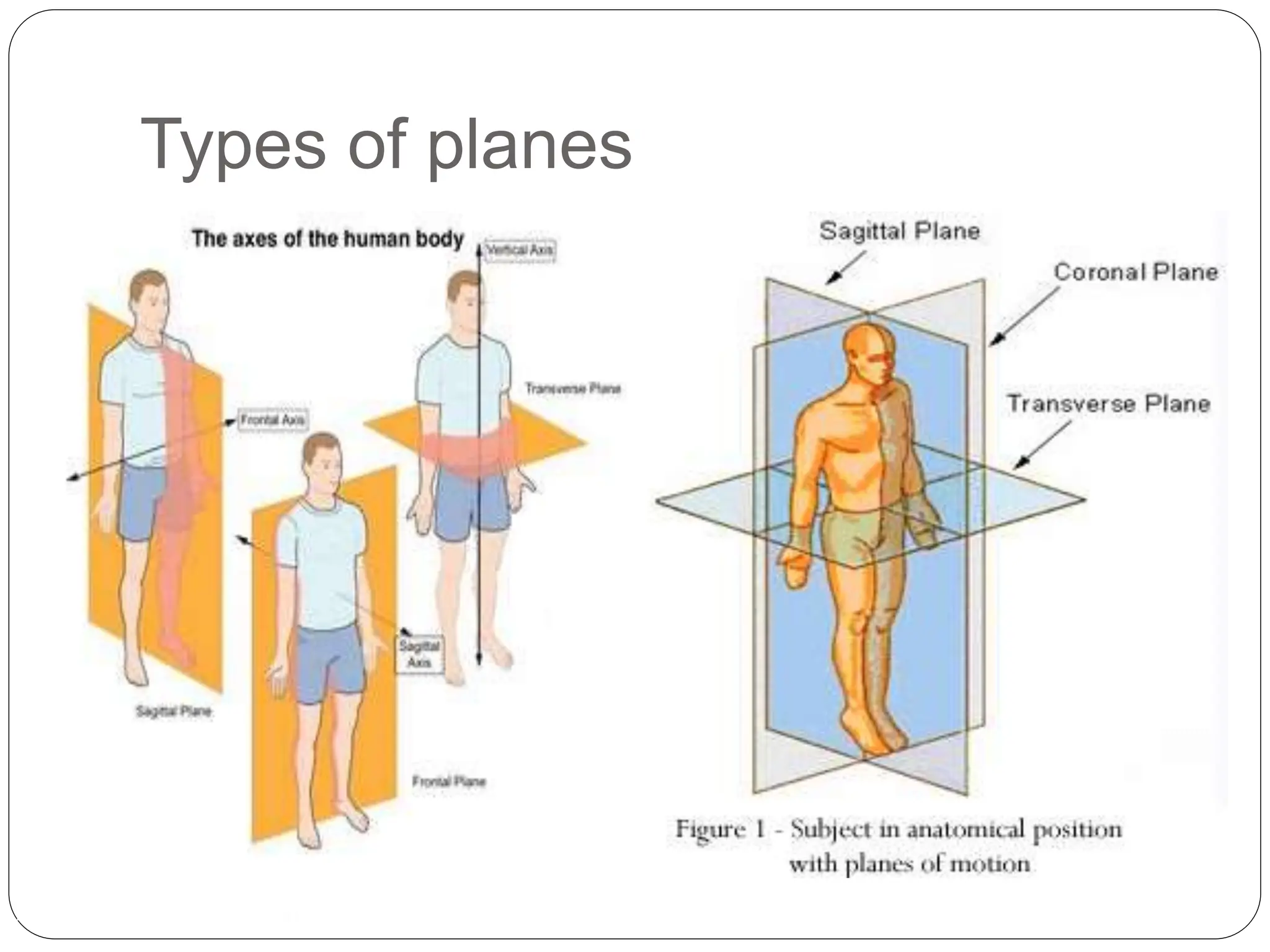 Range of motion exercises | PPTX