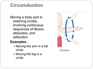 Range of motion exercises | PPTX