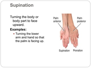 Range of motion exercises | PPTX
