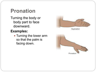 Range of motion exercises | PPTX