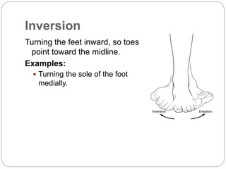 Range of motion exercises | PPTX
