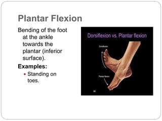 Range of motion exercises | PPTX