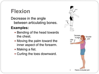 Range of motion exercises | PPTX