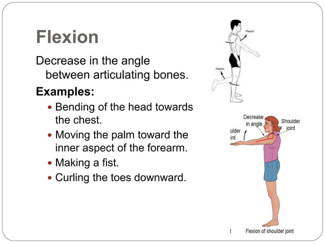 Range of motion exercises | PPTX
