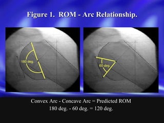 Range of Motion Study | PPT