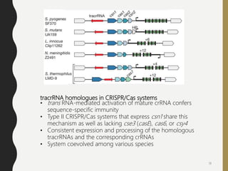 Nature article on CRISPR RNA summary | PPT