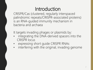 Nature article on CRISPR RNA summary | PPT